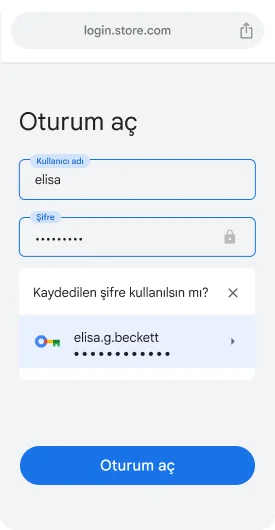 Google Chrome: Özelleştirilmek Üzere Tasarlanmış Hızlı ve Güvenli Web ...
